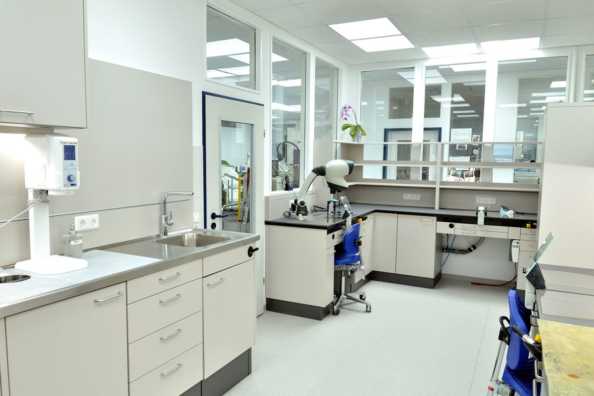 Work preparation on a grand scale – Freuding – Labor und Praxiseinrichtung